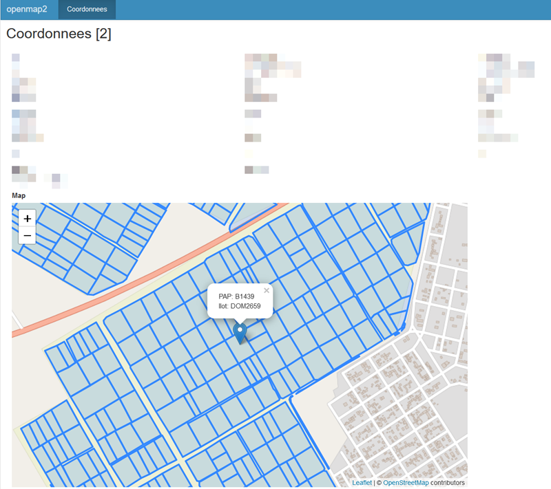 add layer on custom openstreetmap